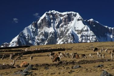 Climb Sajama - Everything you need to know for Climbing Sajama in 2025 ...